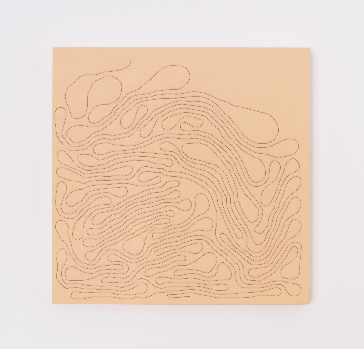 Mokafolio – Folded Lines