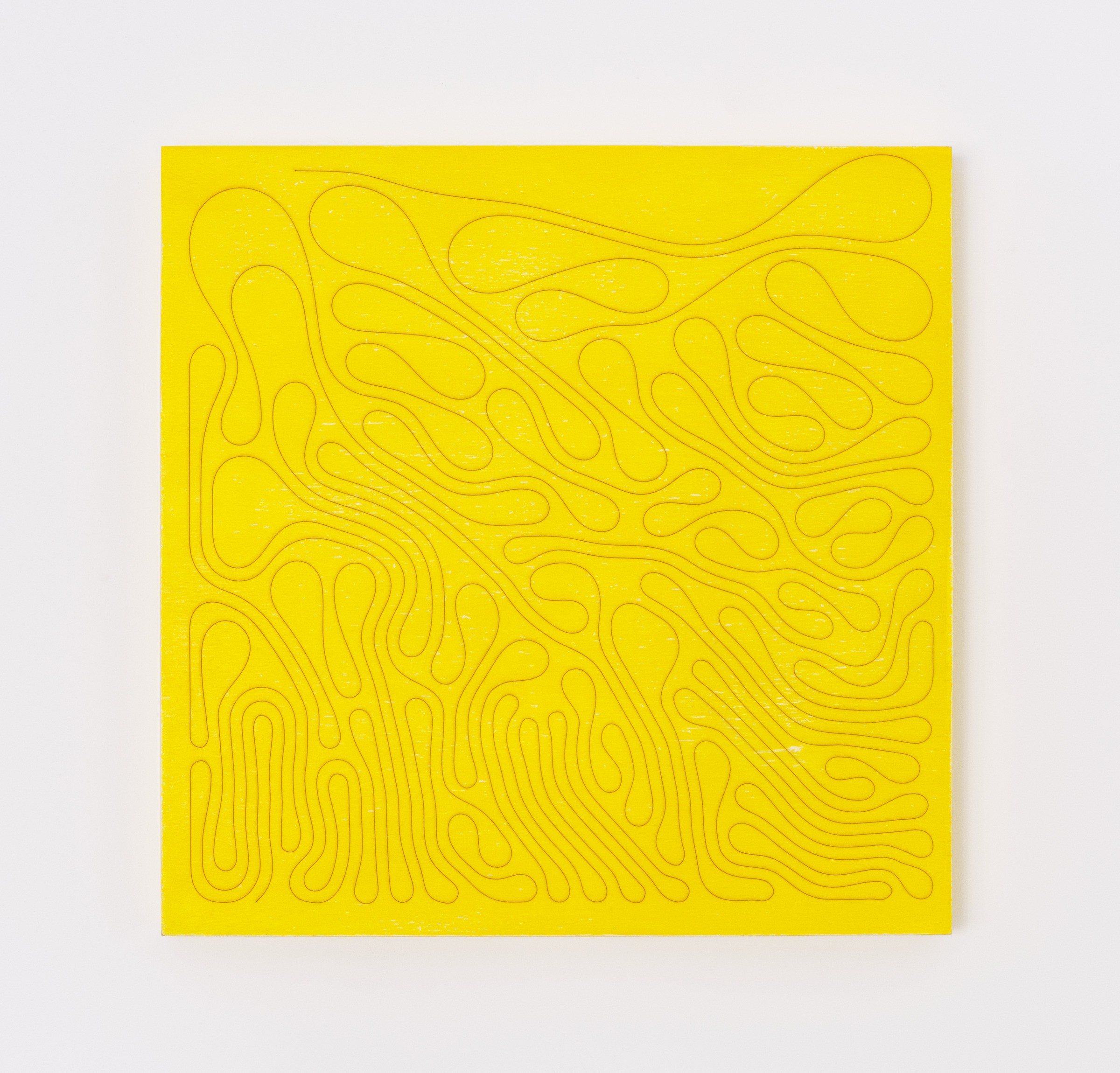 Mokafolio – Folded Lines